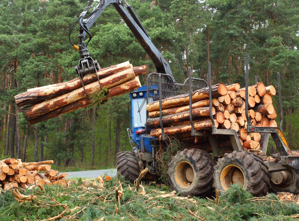 Forestry, Pulp, and Paper - WorldWide Electric Corporation